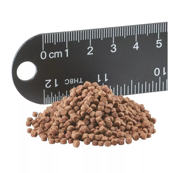 Reef Nutrition TDO Chroma BOOST Large Pellet Fish Food 3 oz – Summit ...