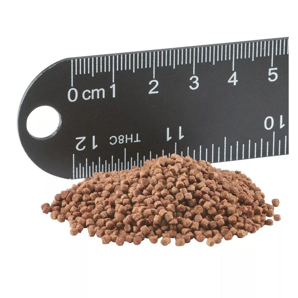 Reef Nutrition TDO Chroma BOOST Medium 3oz – Summit City Coral